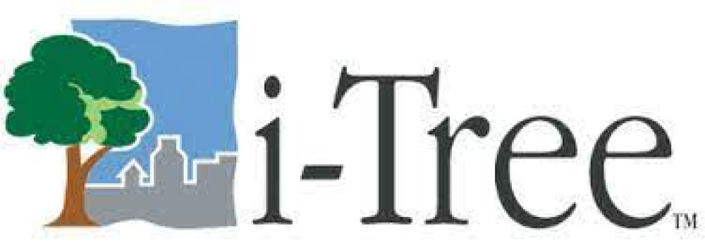 Tree Equity Score National Explorer